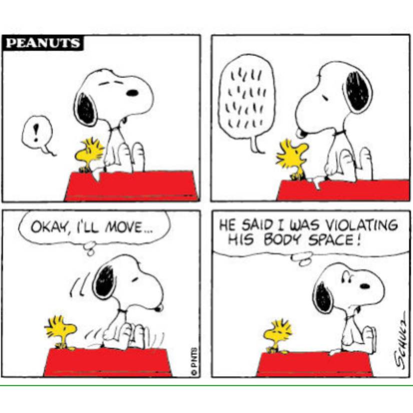 10 Funniest Peanuts Comics Starring Woodstock