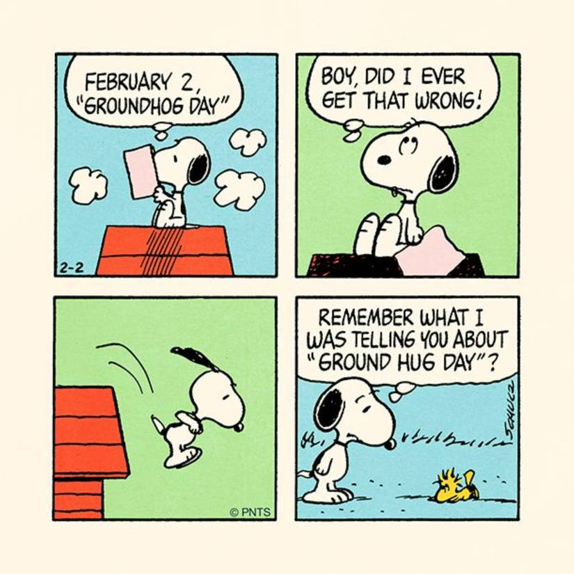 10 Funniest Peanuts Comics Starring Woodstock