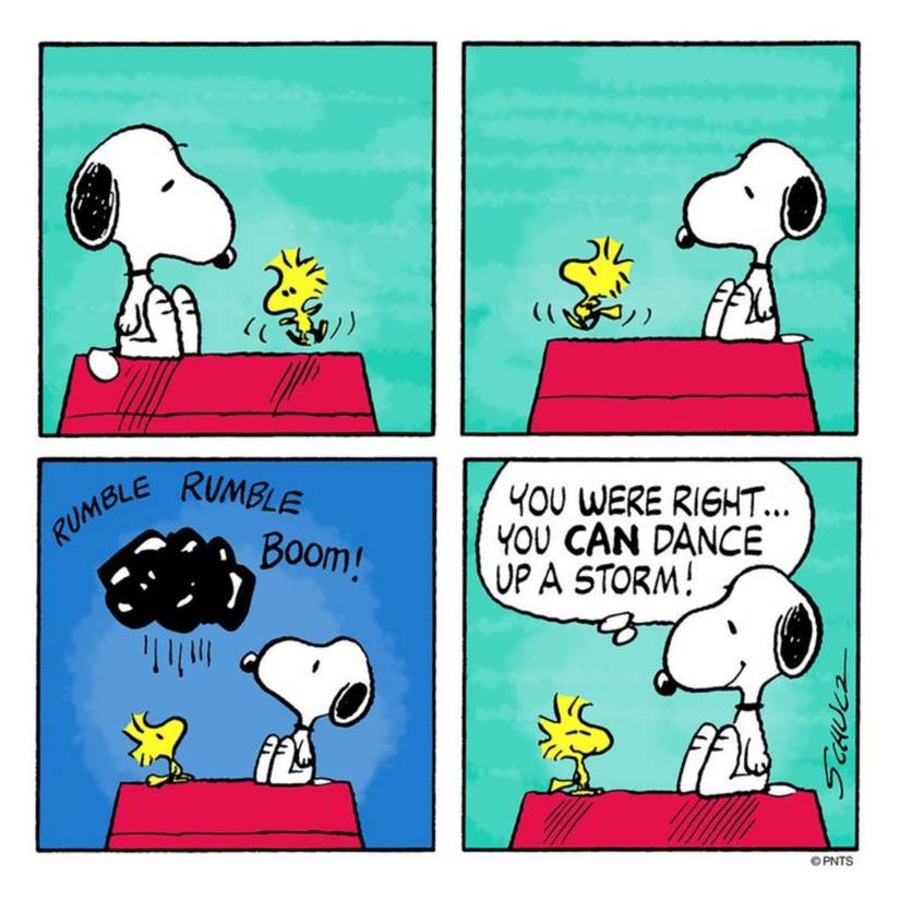 10 Funniest Peanuts Comics Starring Woodstock