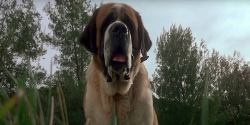 This Terrifying Stephen King Movie Was Almost Ruined For The Most ...