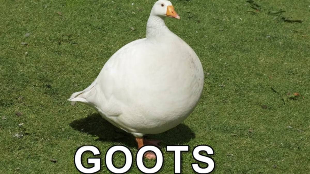 Goots Meme Explained: Where The Goose Came From