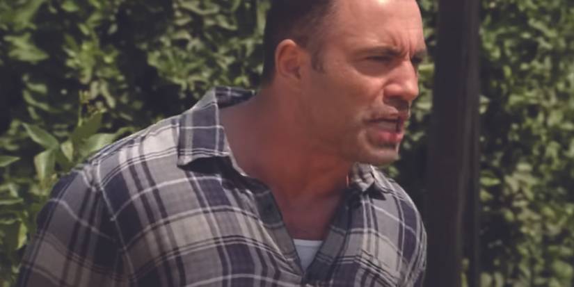 11 Little Known Facts About Fear Factor