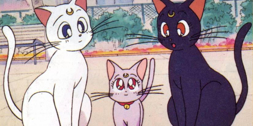 11 Cutest Anime Cats