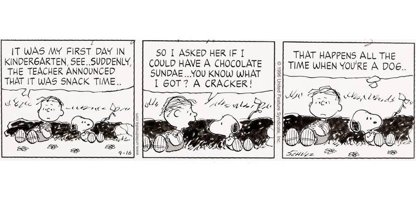 Peanuts: The 10 Funniest Moments Starring Rerun Van Pelt