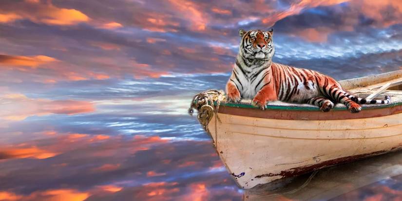Life Of Pi Raft Diagram