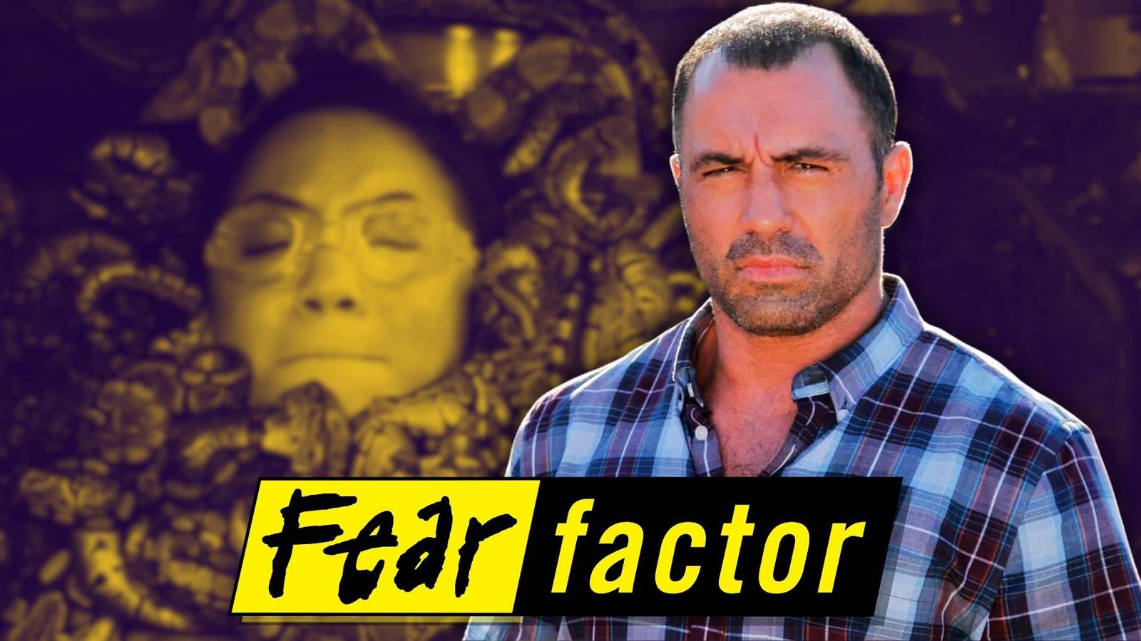 11 Little Known Facts About Fear Factor