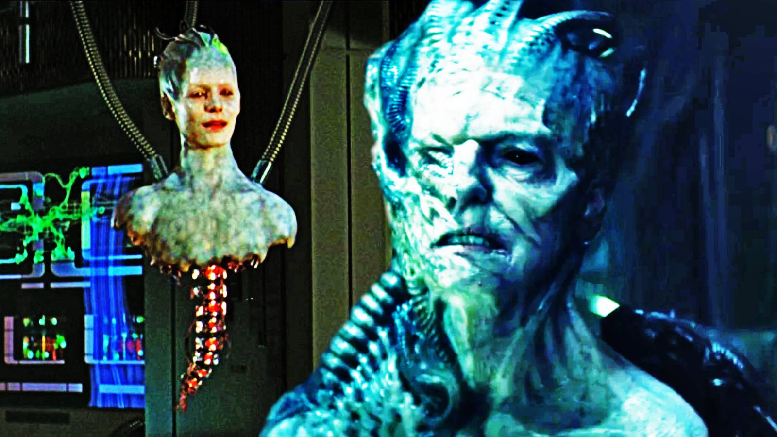 10 Weird Things About The Borg Queen's Body