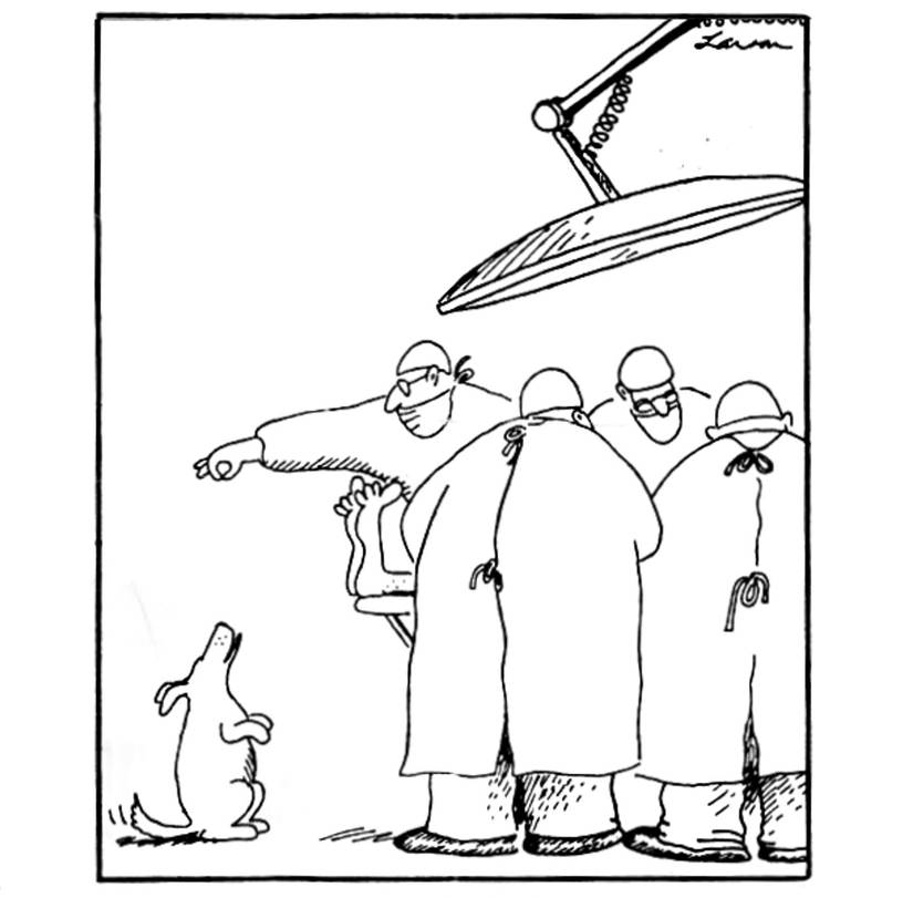 The Far Side: 10 of the Most Surreal Strips About Doctors