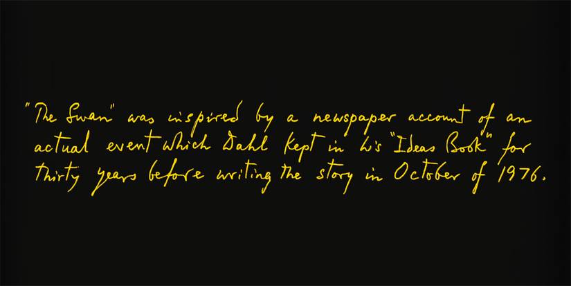 Wes Anderson's The Swan Ending Explained