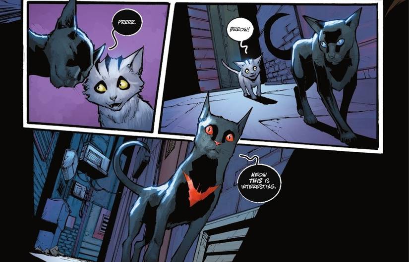 Batman Beyond's Adorable New Animal Form Makes Him Catwoman's Perfect Match