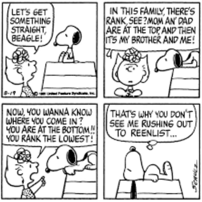 10 Funniest Peanuts Comics Starring Sally