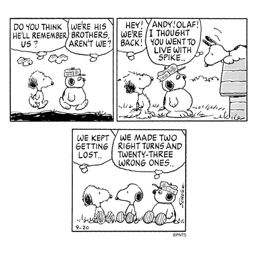 10 Funniest Peanuts Comics Starring Snoopy's Family