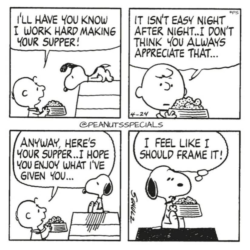 10 Greatest Peanuts Comics With a Meaningful Life Lesson