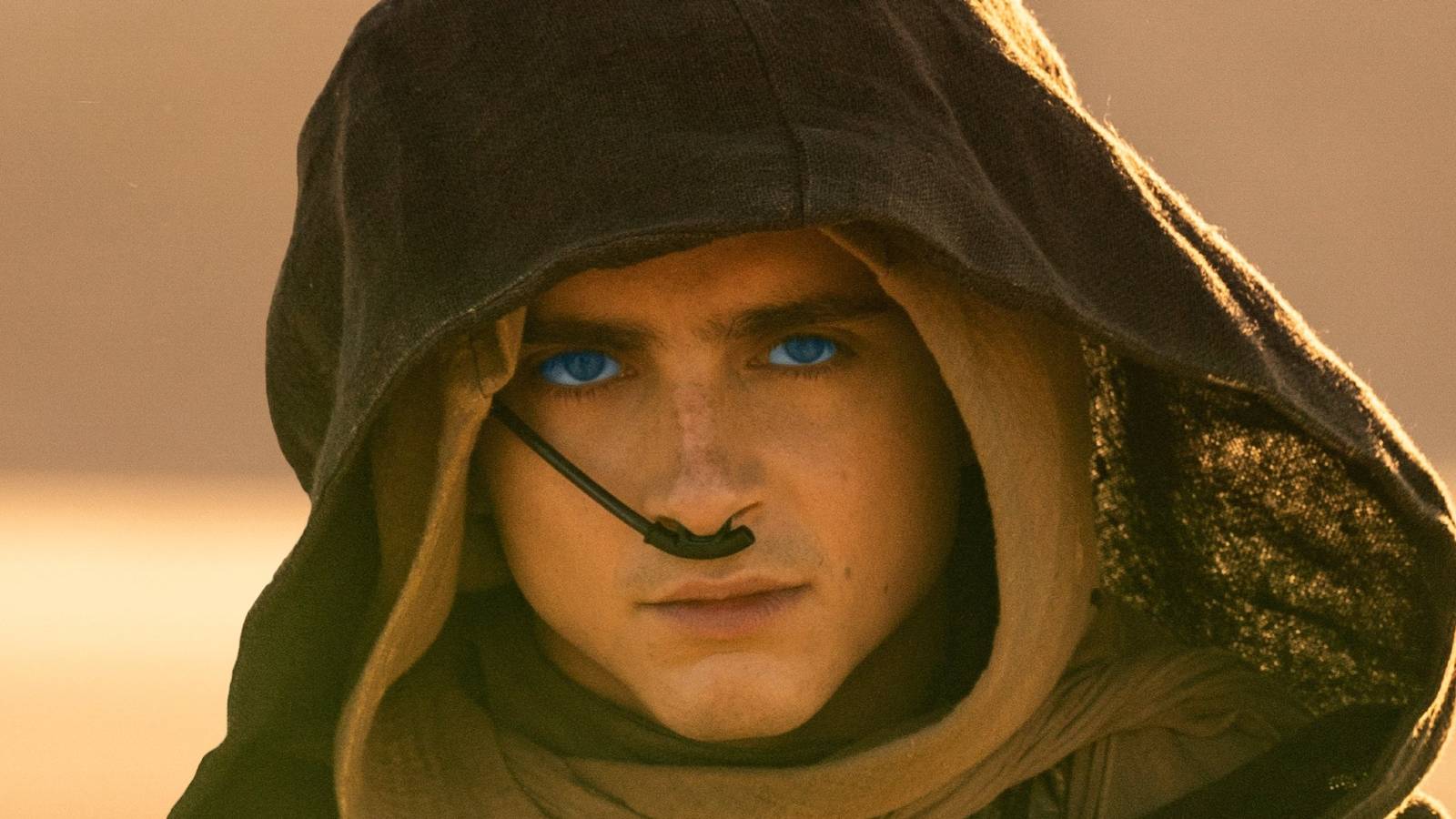 Timothée Chalamet Forcibly Impaired His Vision For New Ping Pong Movie ...