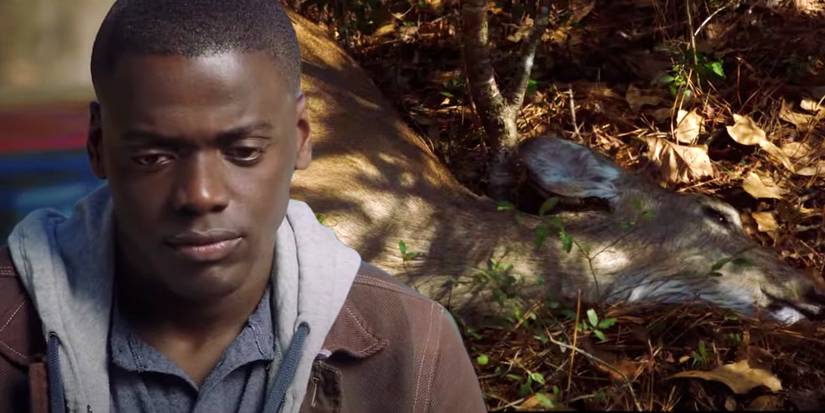 Get Out's Deer Scene Is A Tragic Callback When Remembering Chris ...