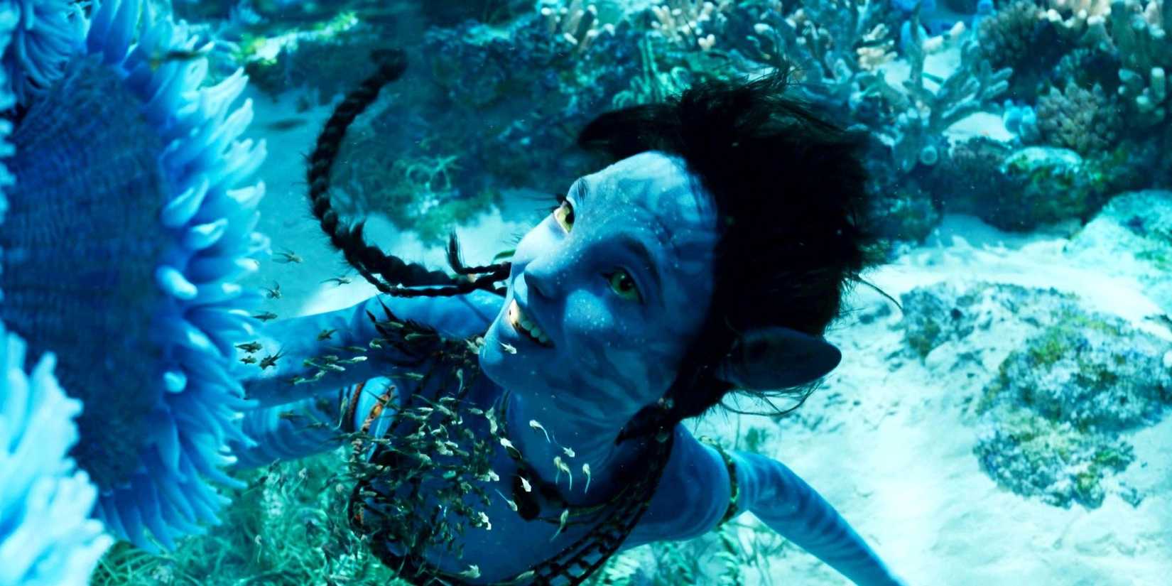 Avatar: Exploring The Mysterious Origins And Powers Of Kiri