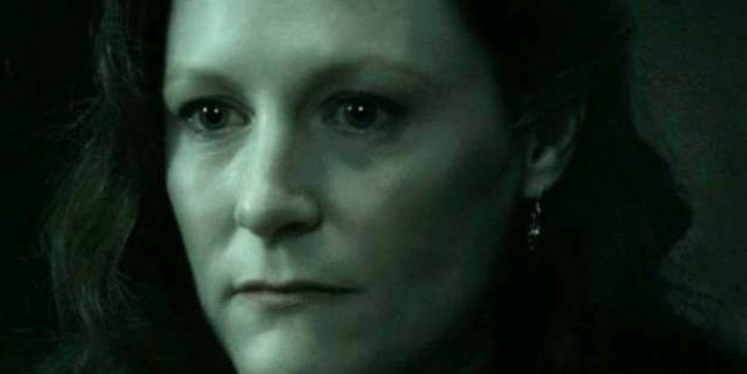 Why Only Lily Potter's Death Had Magical Properties (But All Other ...