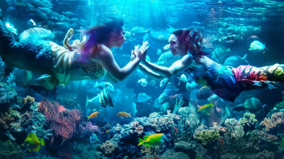 What Is Mermaiding? Everything We Learned From The MerPeople Netflix ...