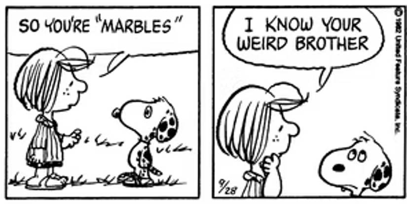 Peanuts: Snoopy Had More Siblings in the Comic Strip Than Even Most ...