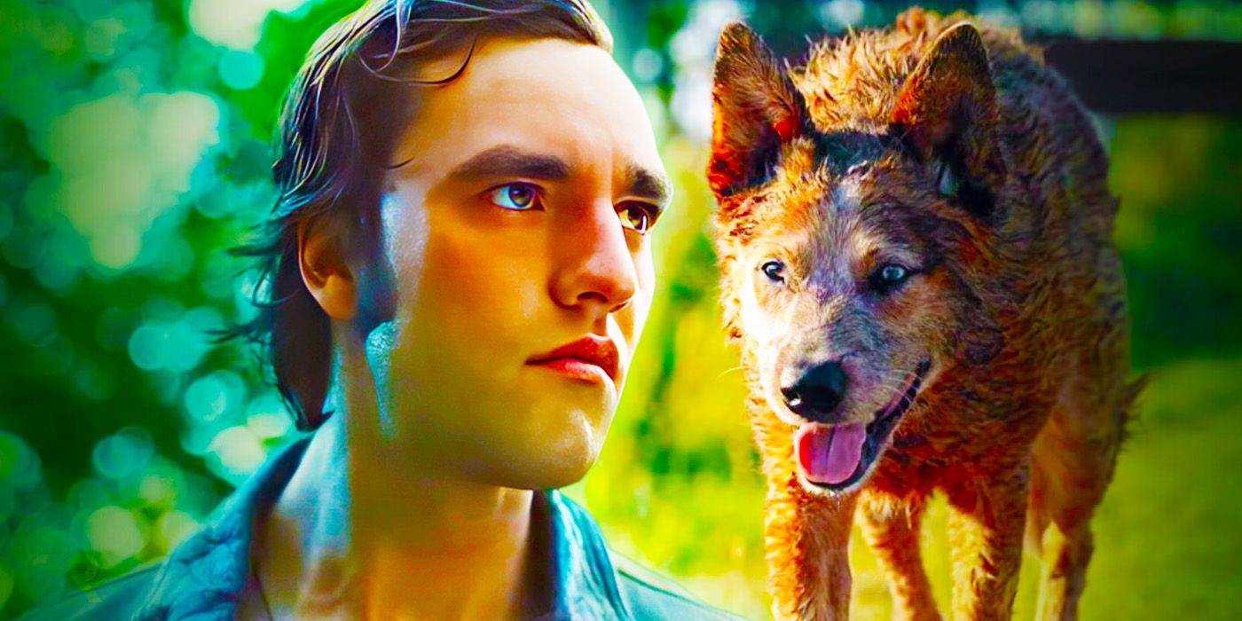 40-Year-Old Pet Sematary Mystery About Jud Finally Answered In New ...