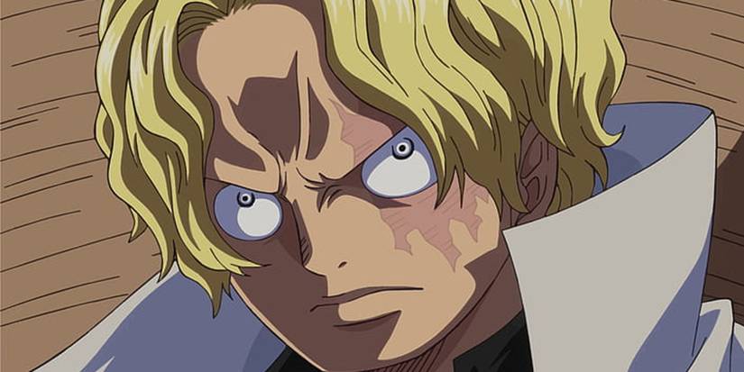 10 Best Candidates for One Piece's Final Straw Hat