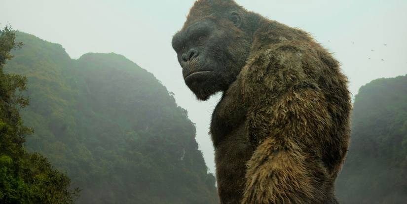 Kong's Species Finally Confirmed In MonsterVerse: Full History Explained