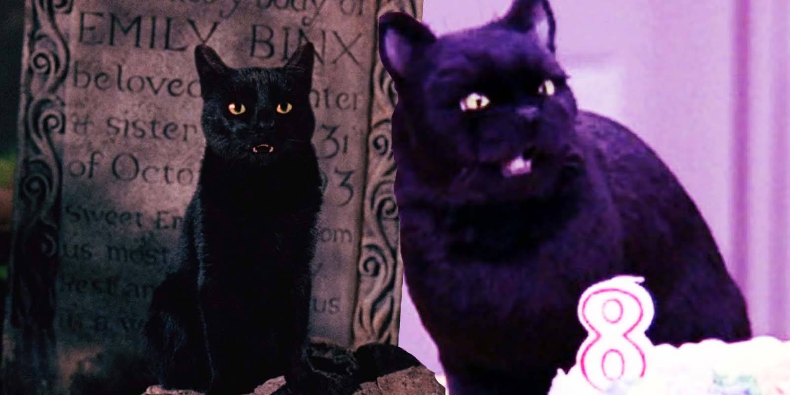 Hocus Pocus' Thackery Binx Secretly Appeared In A '90s Horror Show