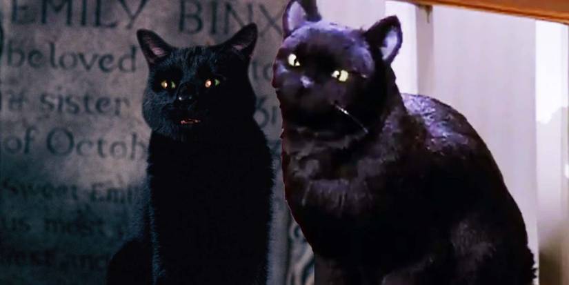Hocus Pocus' Thackery Binx Secretly Appeared In A '90s Horror Show