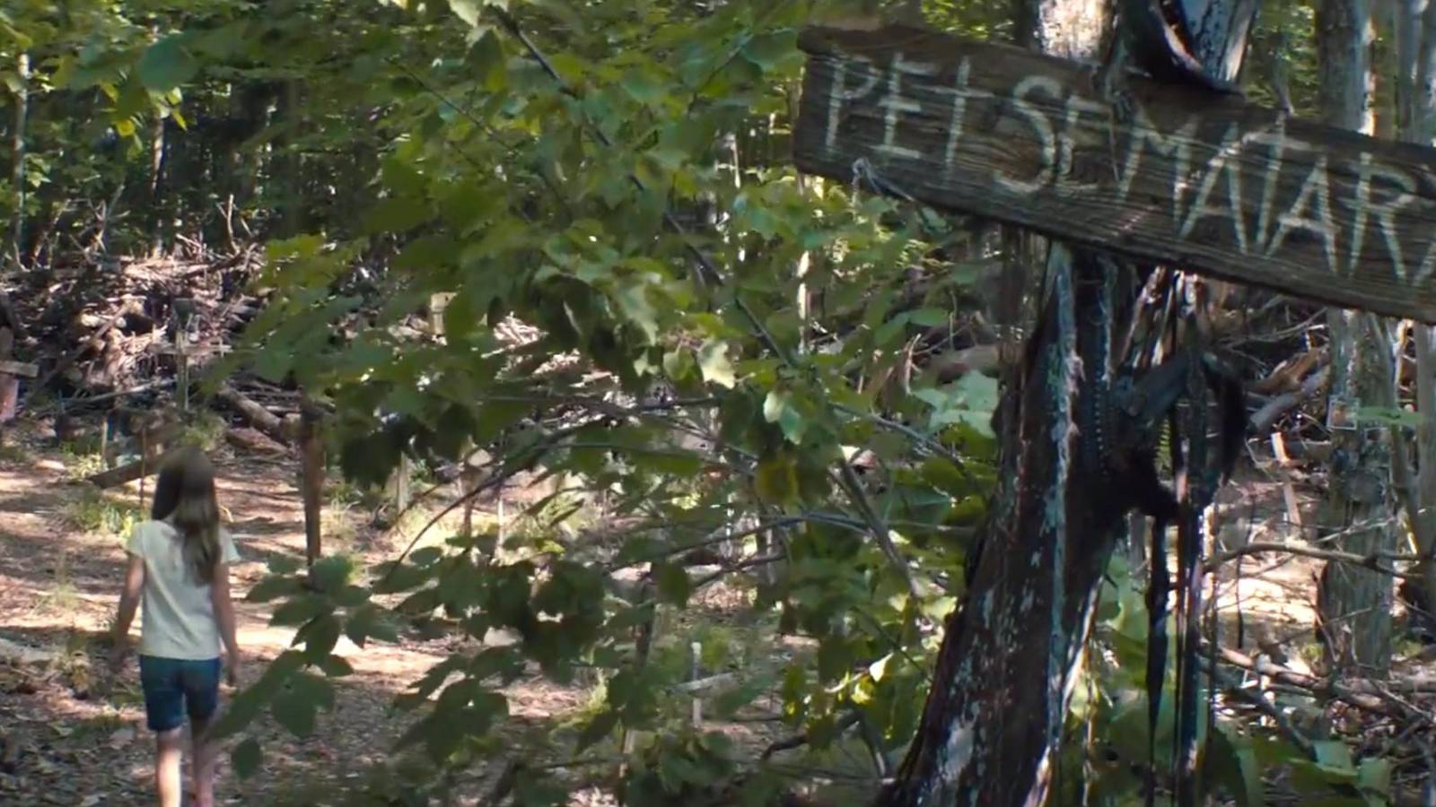 Why "Pet Sematary" Is Spelled Wrong In Stephen King's Horror Story