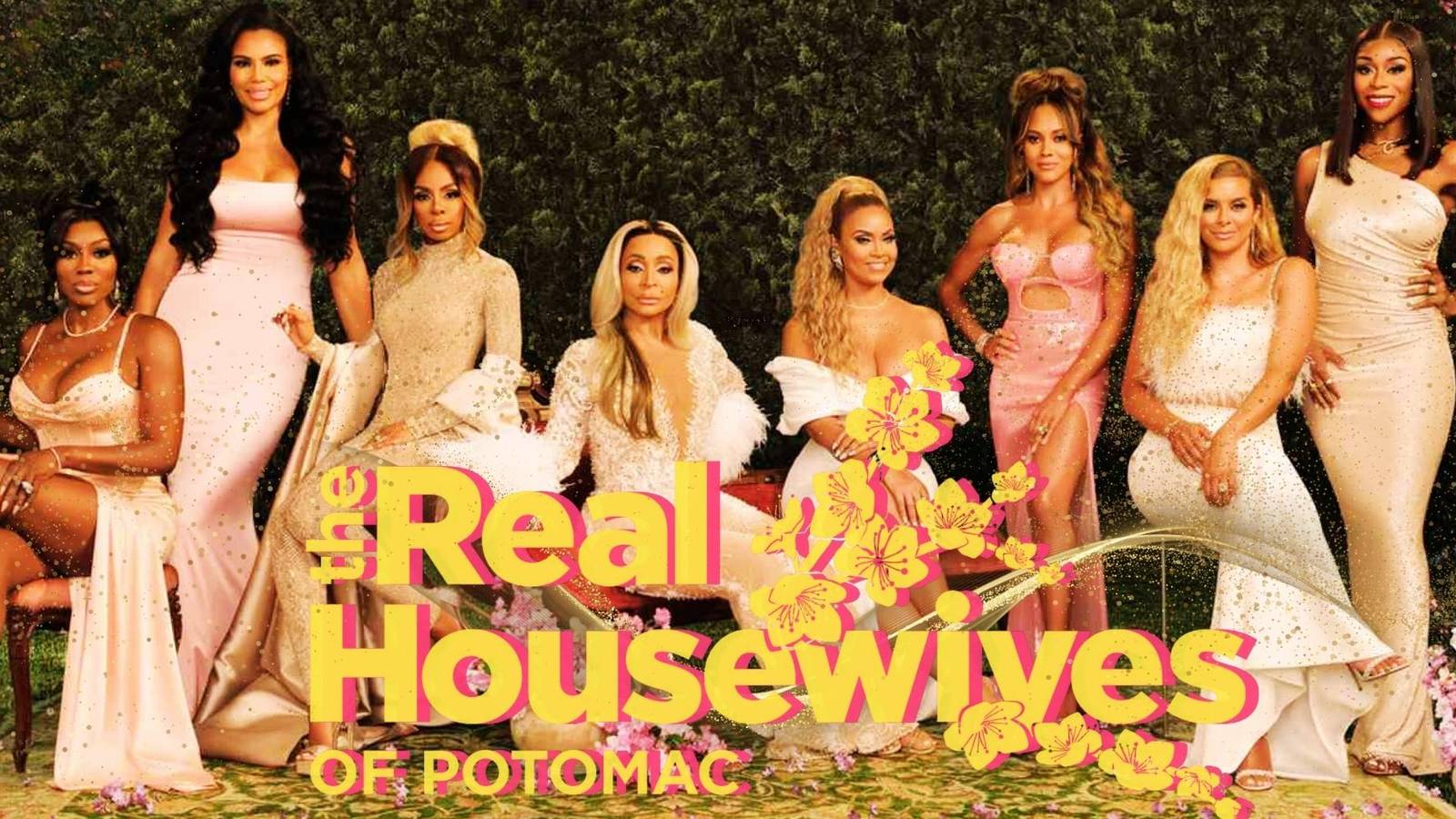 RHOP Season 8: Renewal Info, Potential Release Date & Everything We Know