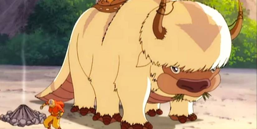 12 Avatar The Last Airbender Characters, Ranked Worst To Best