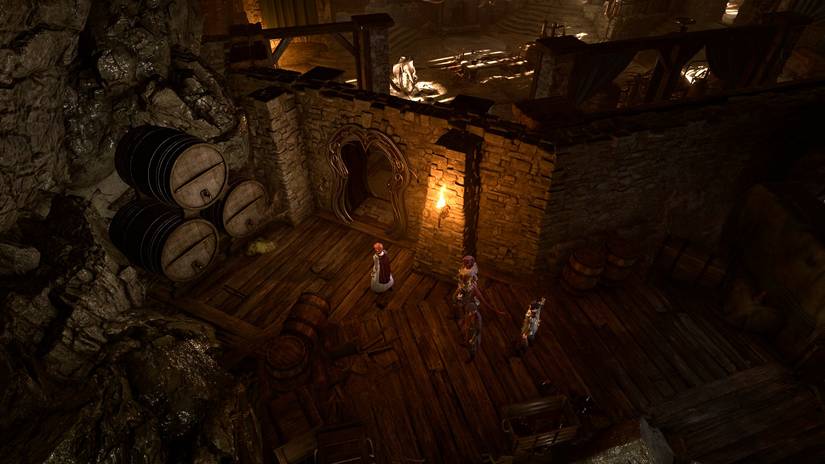 Baldur's Gate 3: How To Open The Secret Cellar Door (Blighted Village)