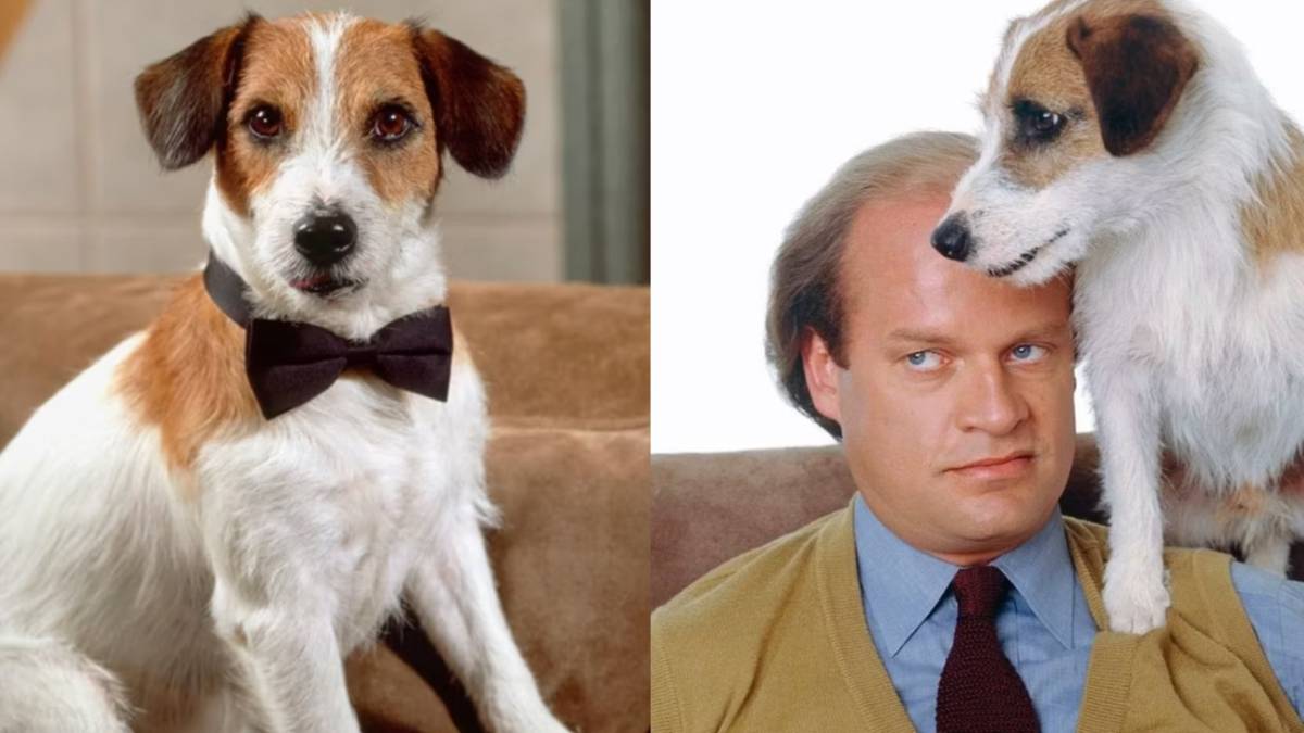 How Many Dogs Played Eddie On Frasier