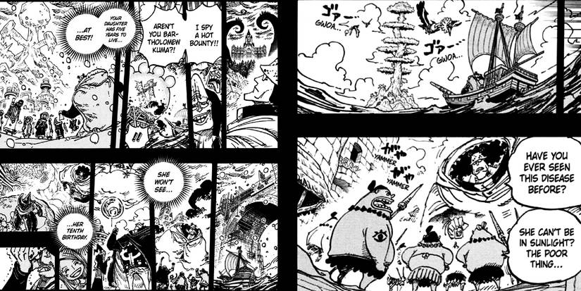 One Piece Finally Explains A Big Mystery About Its Time Skip