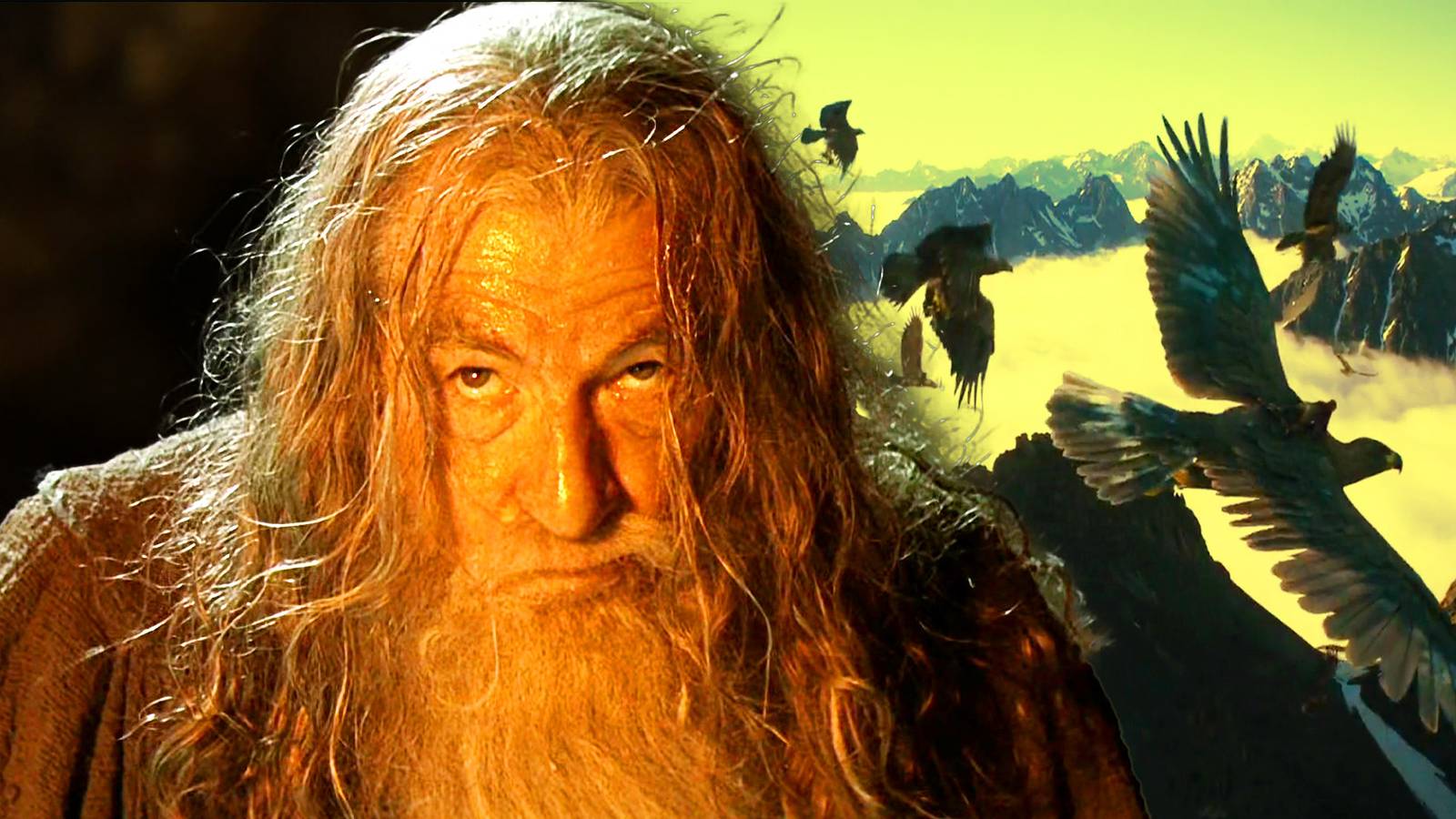 Why Gandalf Says "Fly, You Fools!" - Ridiculous LOTR Eagles Theory Debunked