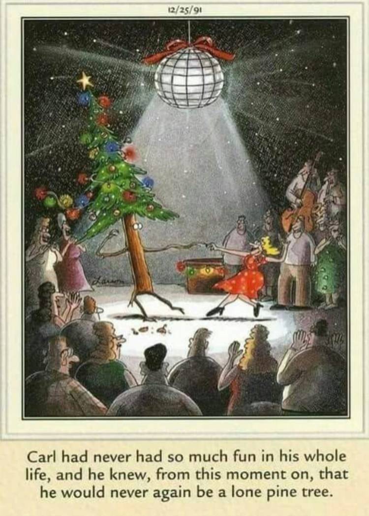 The Far Side: 10 Weirdest Holiday Comics