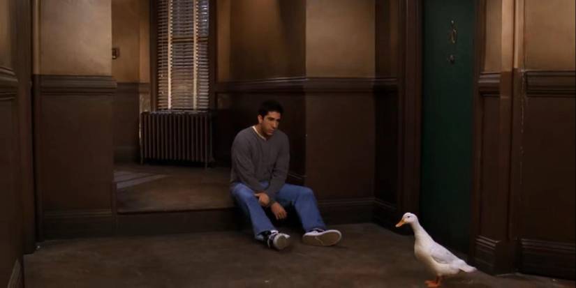 Friends: 10 Best Moments With The Chick & The Duck