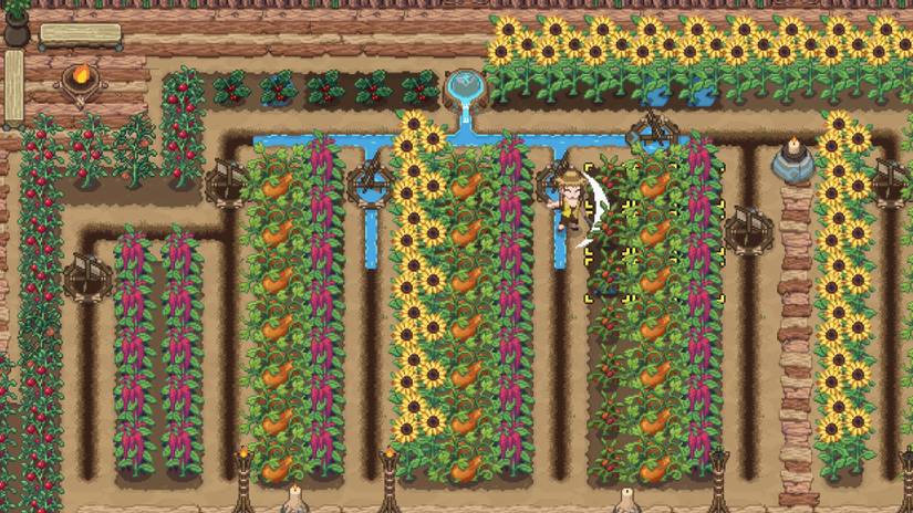"A New Twist On A Well-Trodden Formula": Roots Of Pacha Review