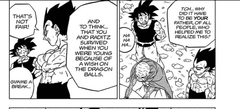 Bardock's Wish In Dragon Ball Super Makes Raditz's Death Even Worse