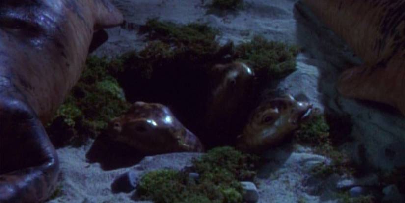 7 Star Trek: Voyager Problems Chakotay’s Return Can Fix