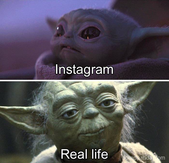 15 Best Yoda Memes That Prove His Jedi Wisdom