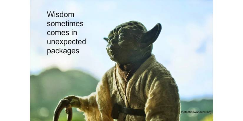 15 Best Yoda Memes That Prove His Jedi Wisdom
