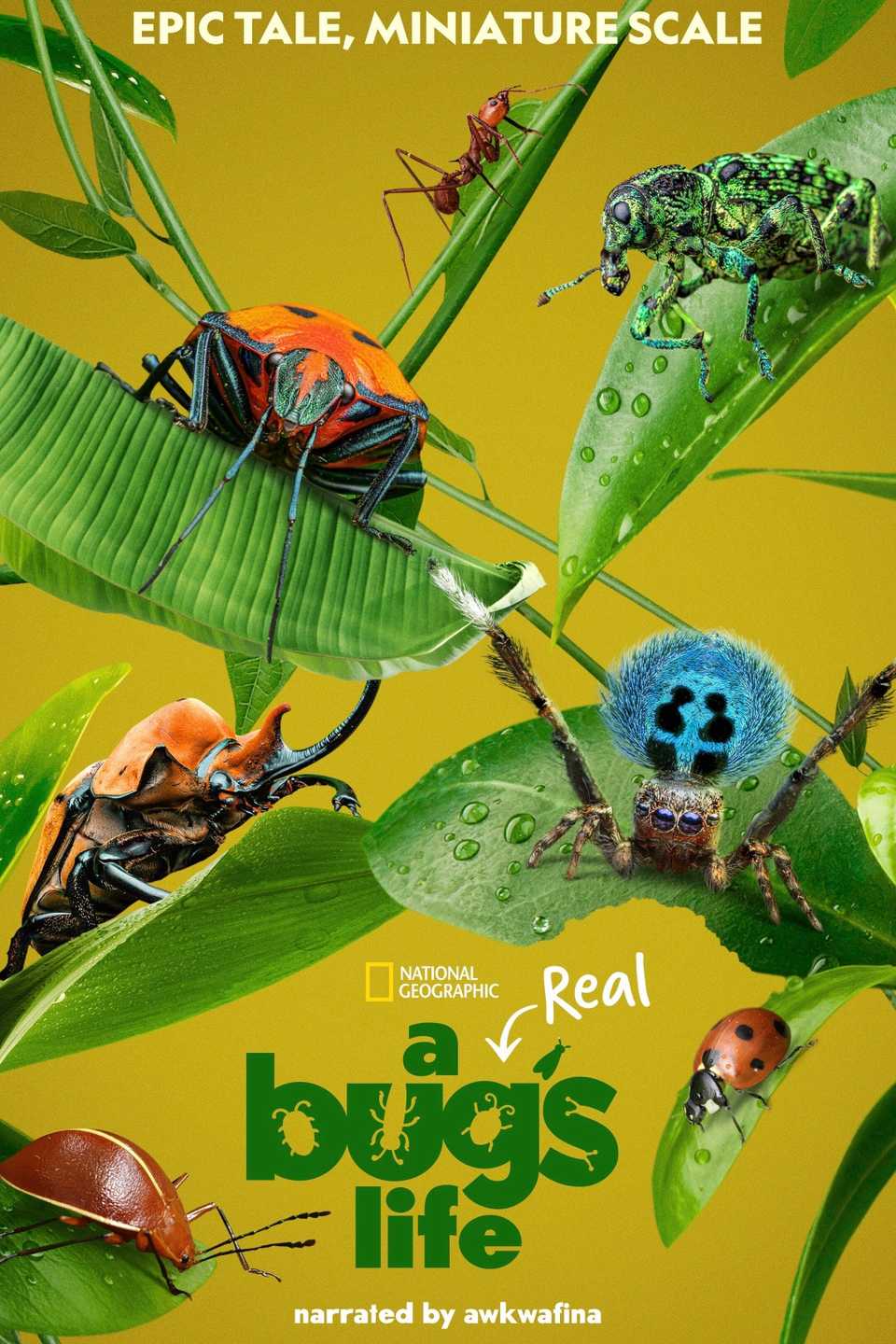 A Real Bug’s Life Season 2 Producers Talk Bugs That "Run So Fast They ...