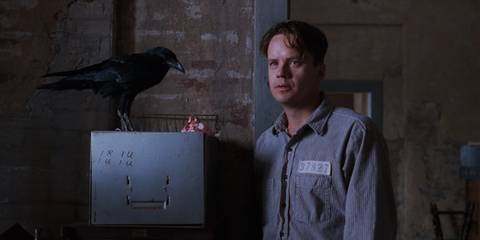 The Shawshank Redemption Summary, Trailer, Cast, Where to Watch and More