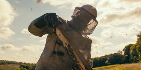 The Beekeeper Summary, Trailer, Cast, Where to Watch and More