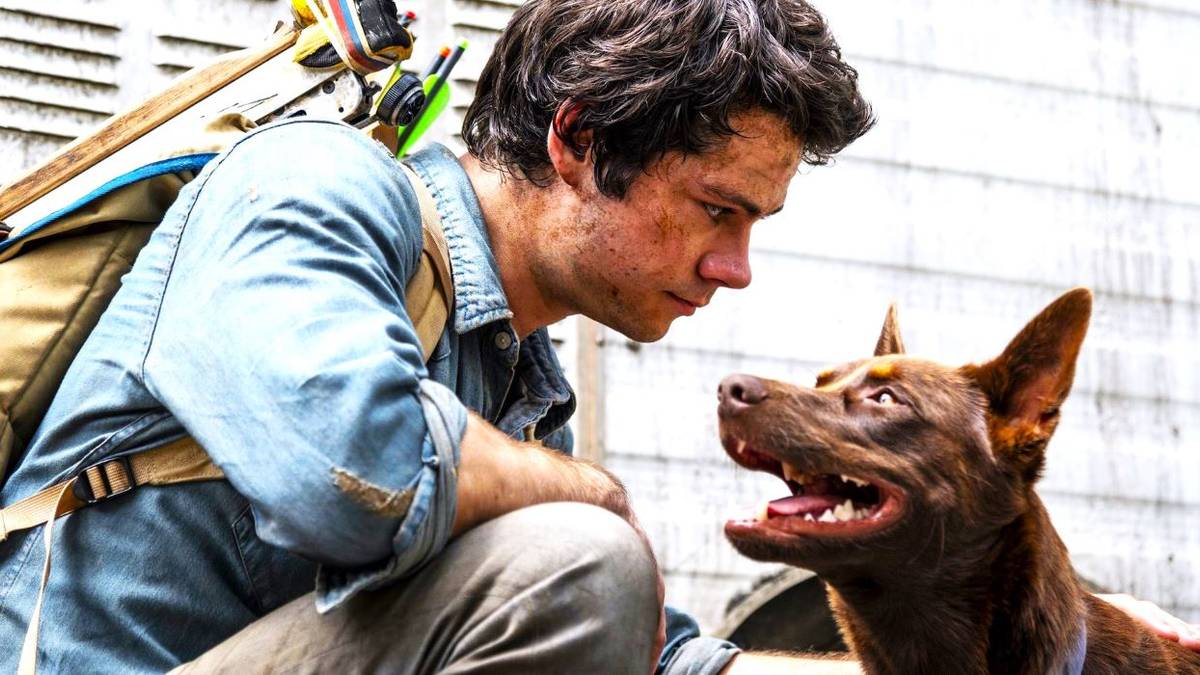 Love And Monsters: What Kind Of Dog Plays Boy