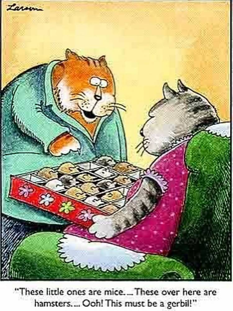 The Far Side: 10 Weirdest Holiday Comics