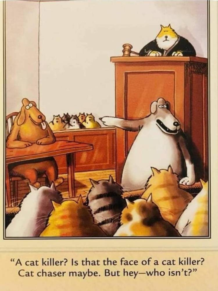10 Wildest Far Side Comics Set in Courtroom Scenes