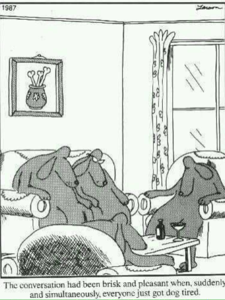 10 Best Far Side Comics Where Dogs Act Like Humans