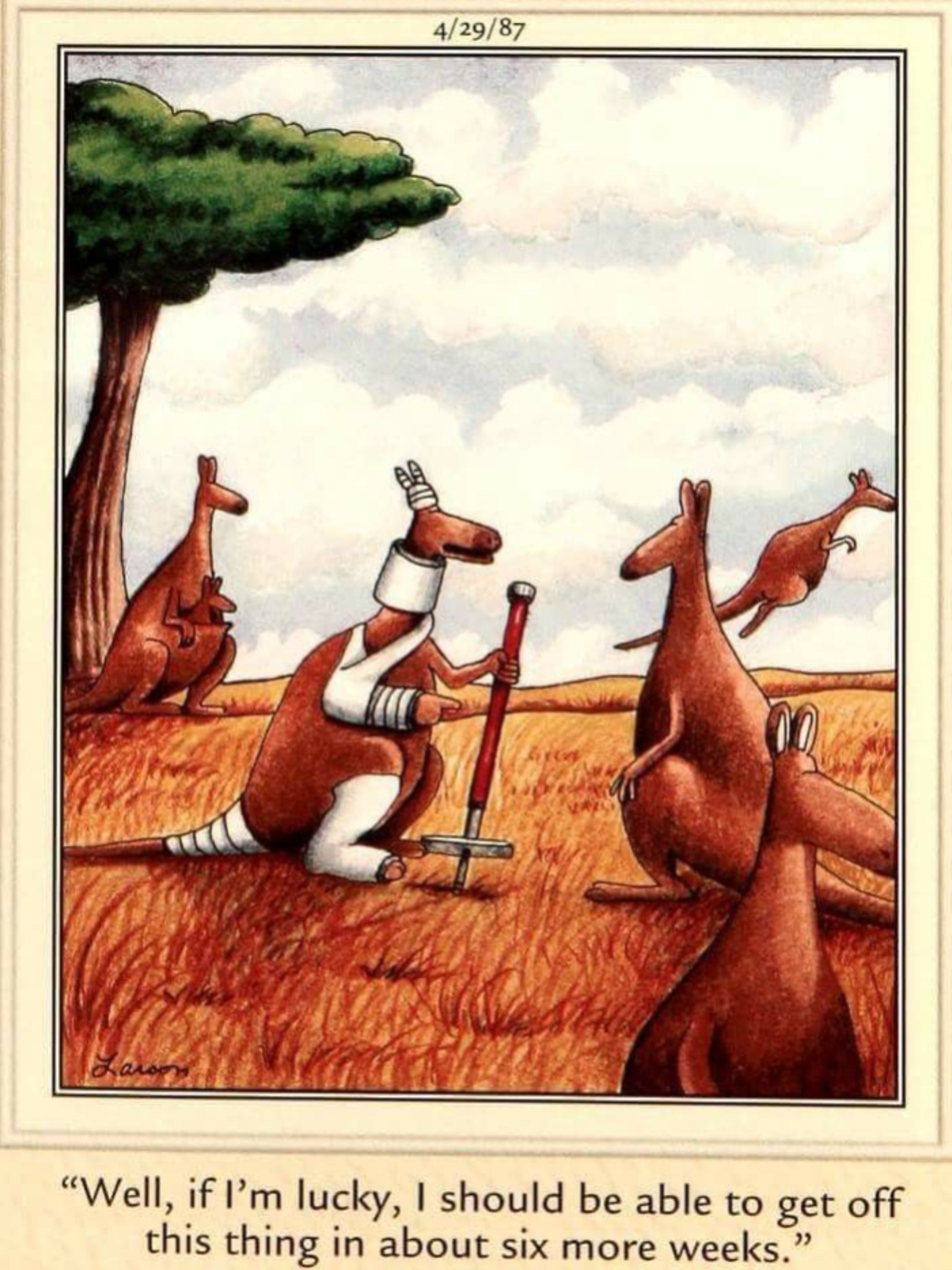 10 Funniest Far Side Comics With Talking Animals